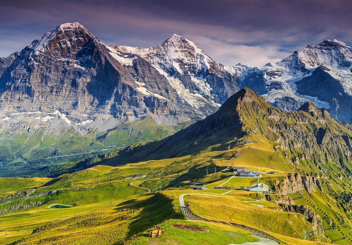 Handy Safari - swiss smart media